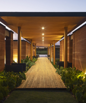 Taipa de pilão - Taipal Brasil